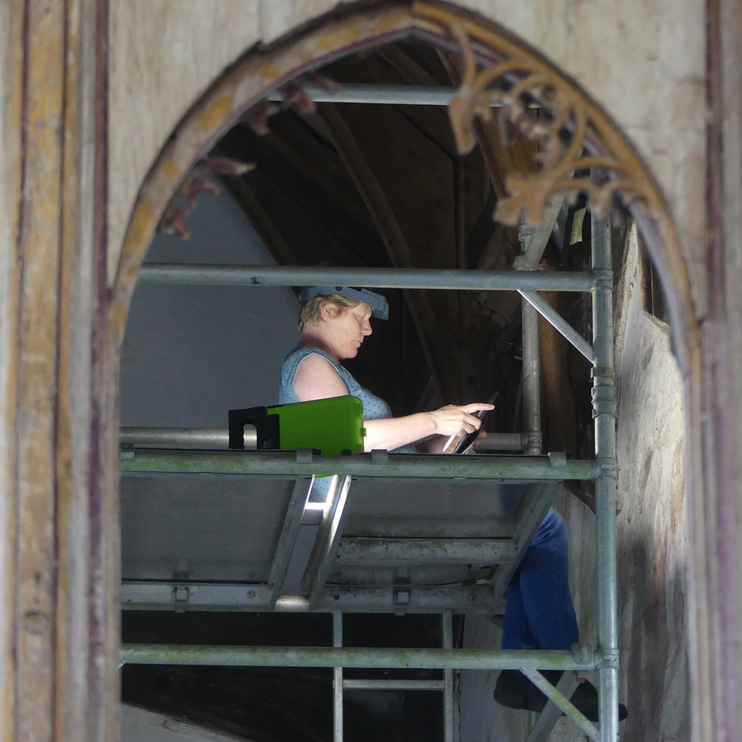 Hardwick, St Margaret - Bats In Churches